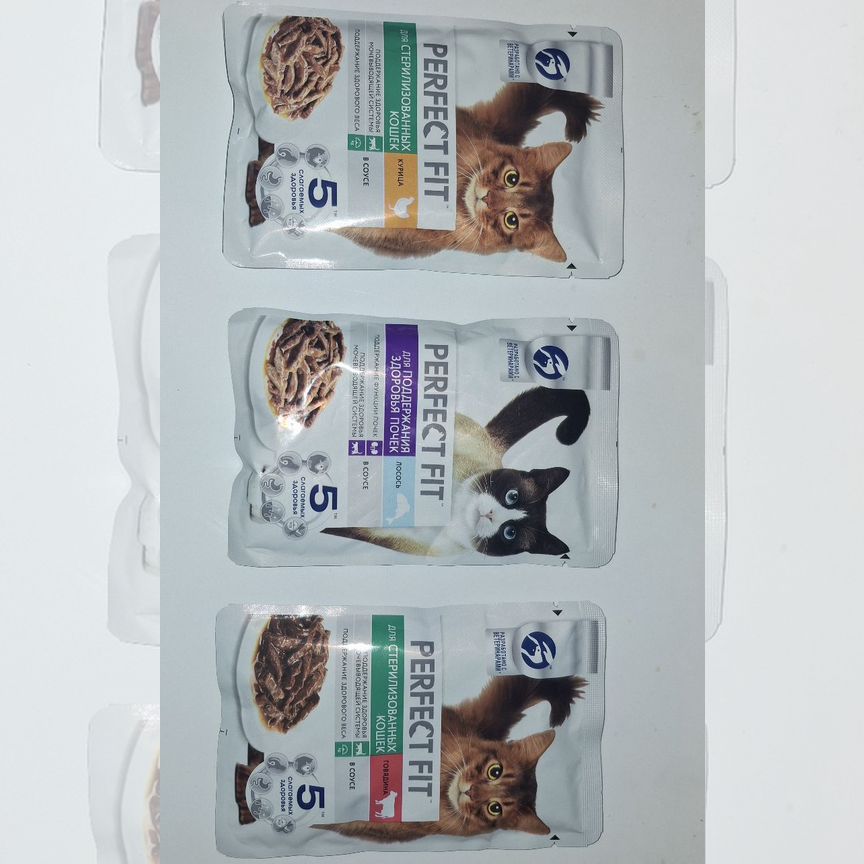 Влажный корм для кошек