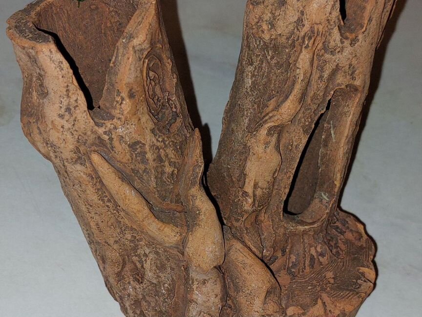 Коряга керамическая