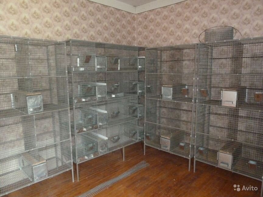 Клетки (боксы) для шиншилл