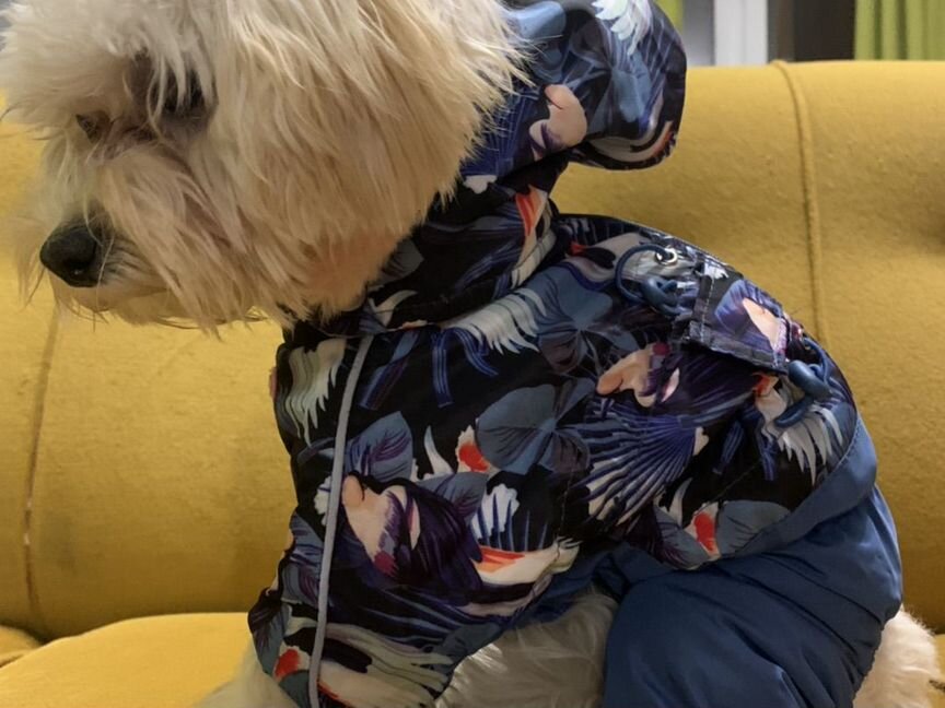 Комбинезон для собак мелких пород