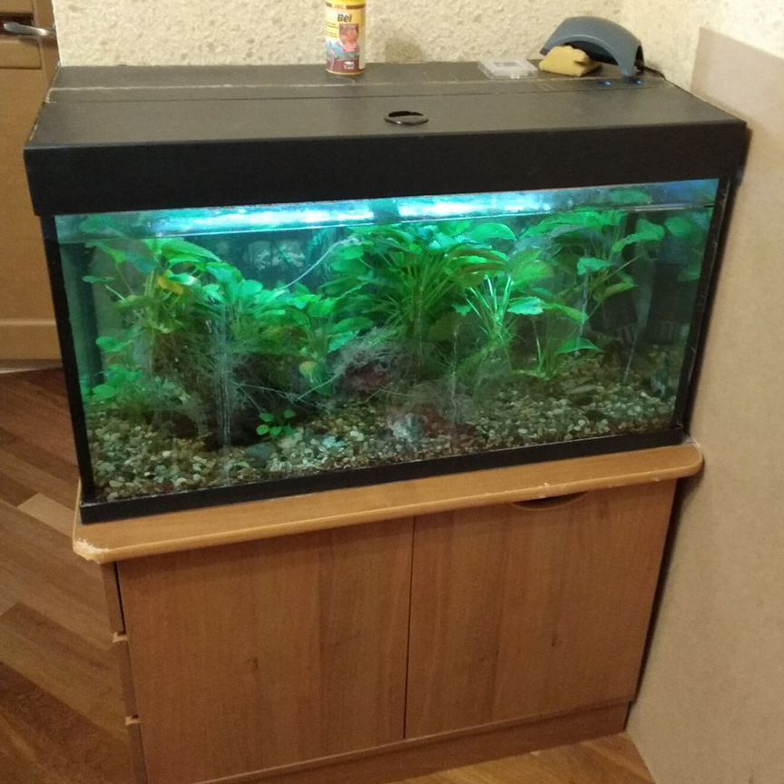 Аквариум б/у 130литров
