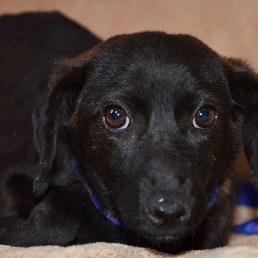 Малышка в поисках семьи