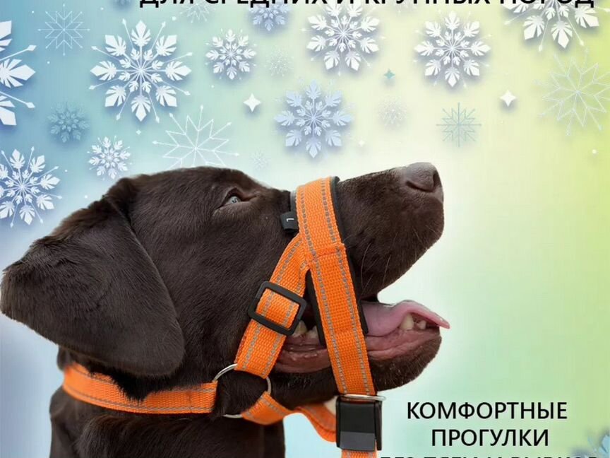 Намордник Недоуздок (халти)