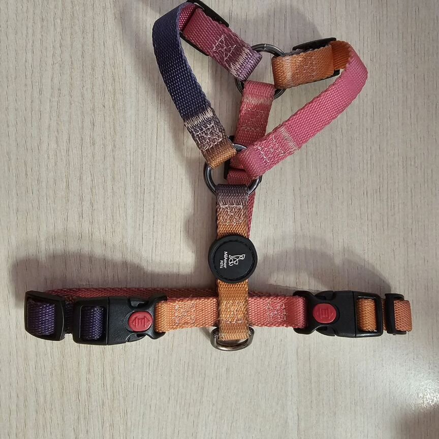 Шлейка для маленькой собаки