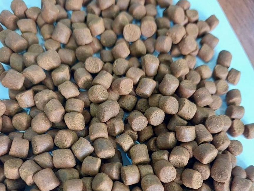 Корм для прудовой рыбы