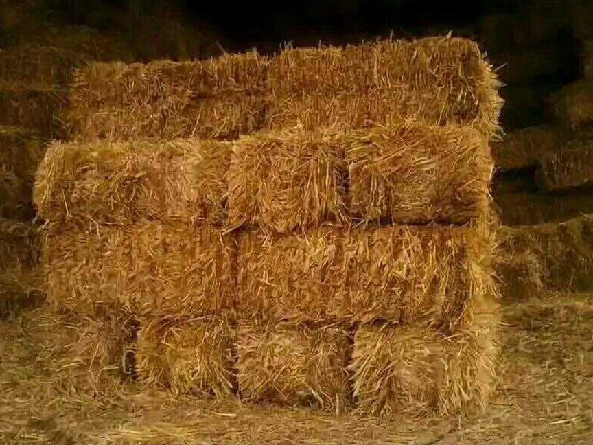 Продам пшеницу, сено и солому