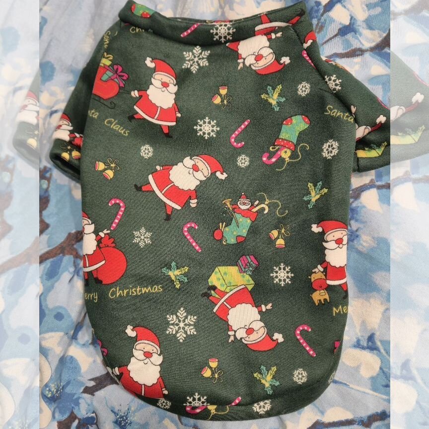 Одежда для собак