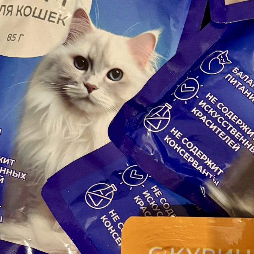 Влажный корм для кошек spar