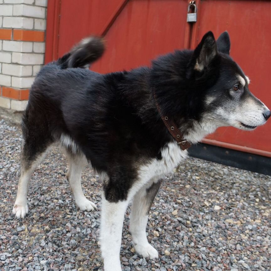 Вязка всл кабель дипломированный