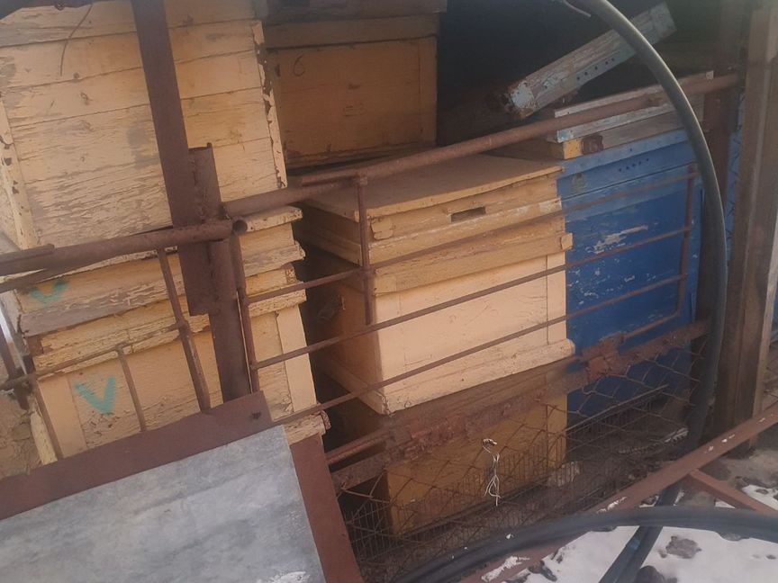 Улики для пчел