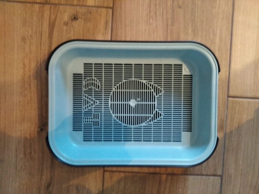 Кошачий лоток и домик