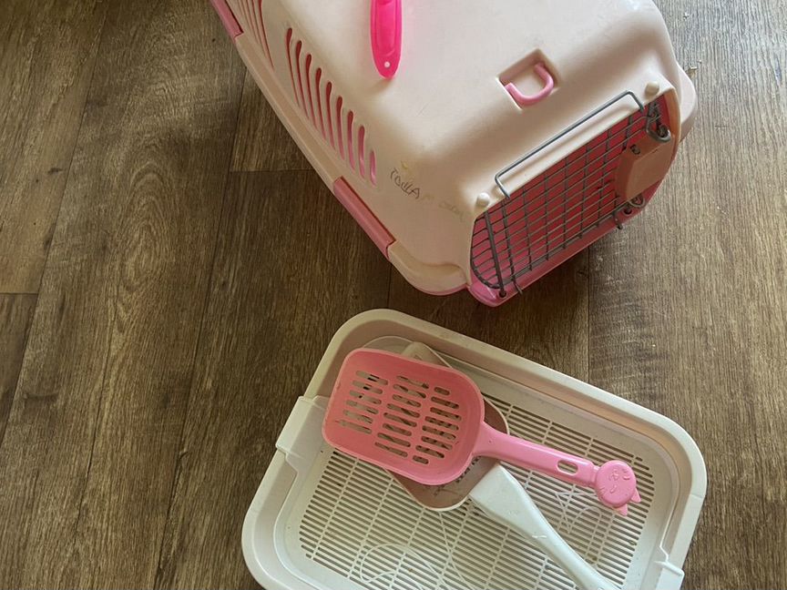 Переноска для кошек бу