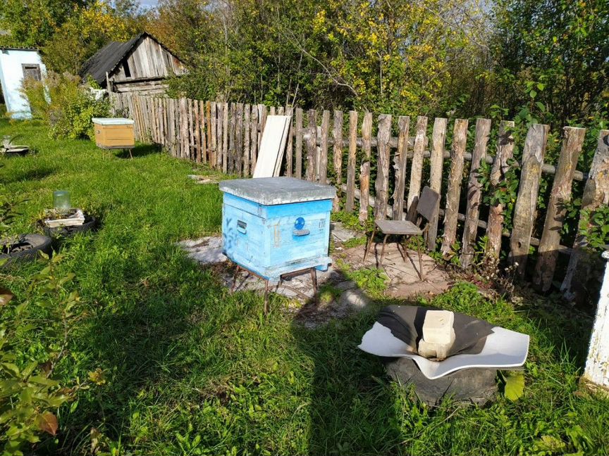 Ульи с рамками