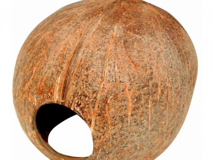 Домик для рептилий