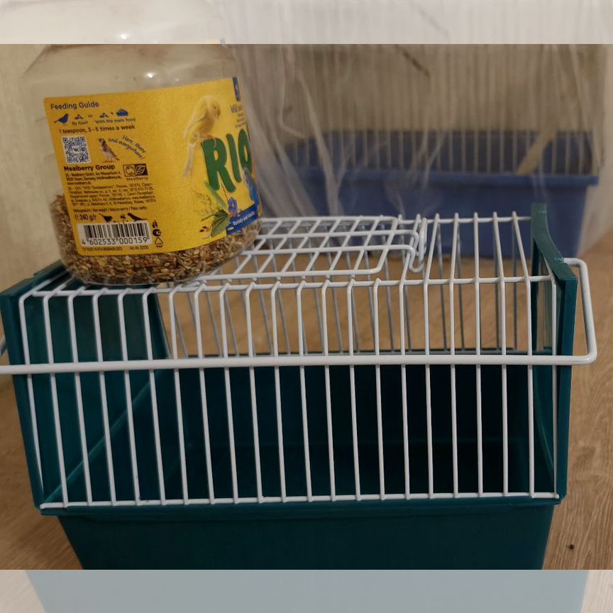 Волнистый попугай с клеткой