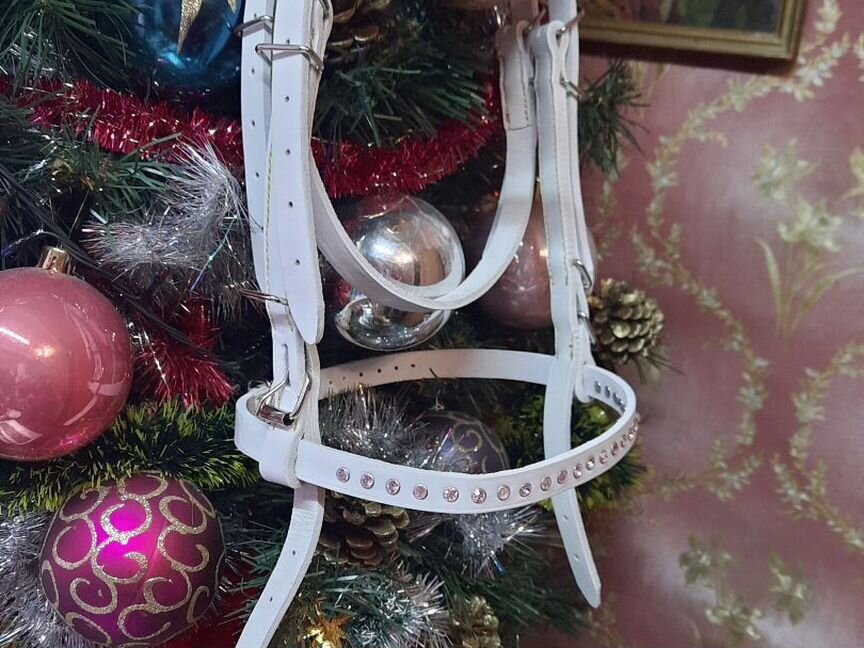 Уздечка для pony