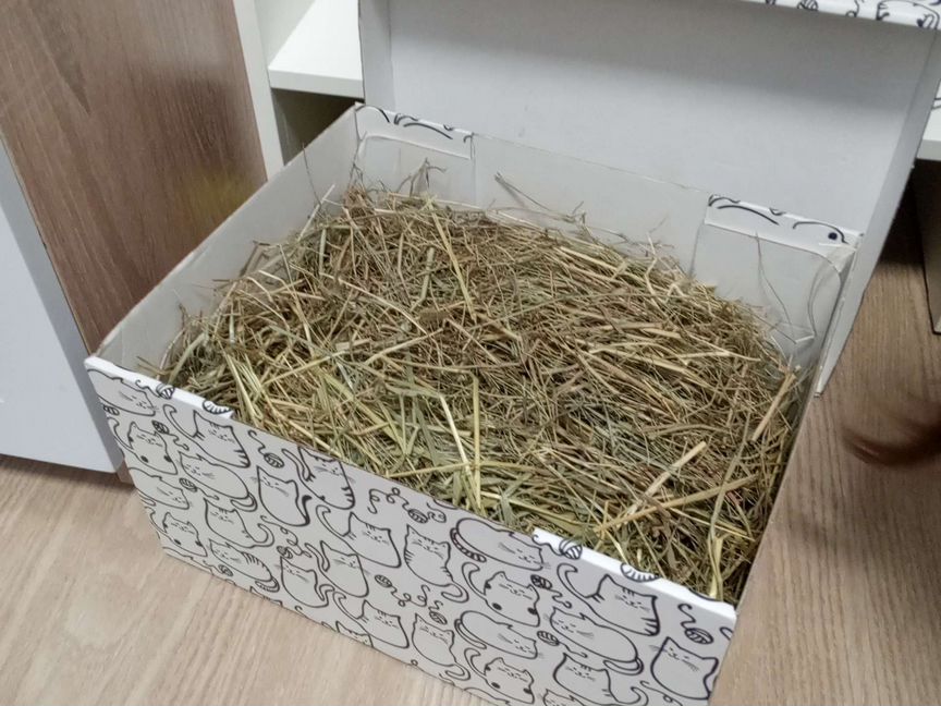 Солома и стружка для хомяка