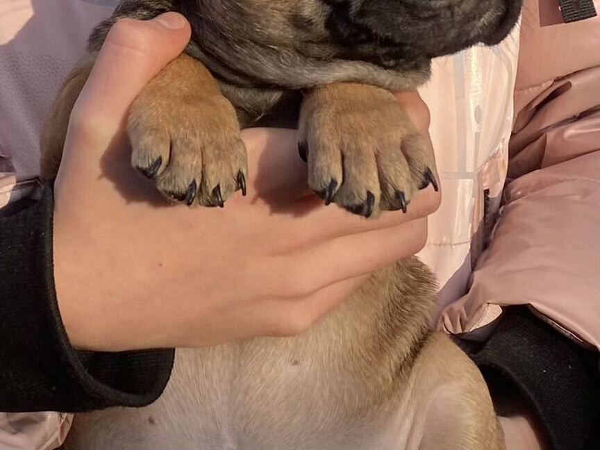 Рыжая бестия Злата