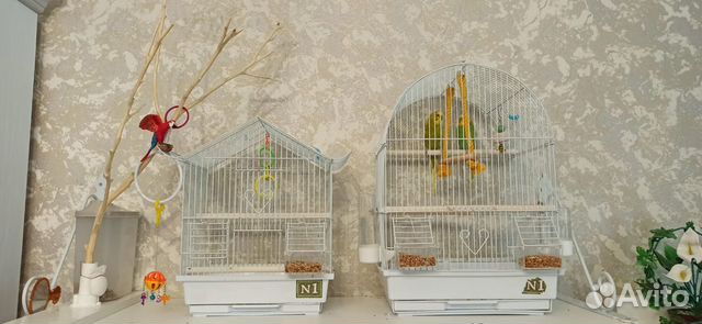 Продам 2-х попугаев и 2 клетки