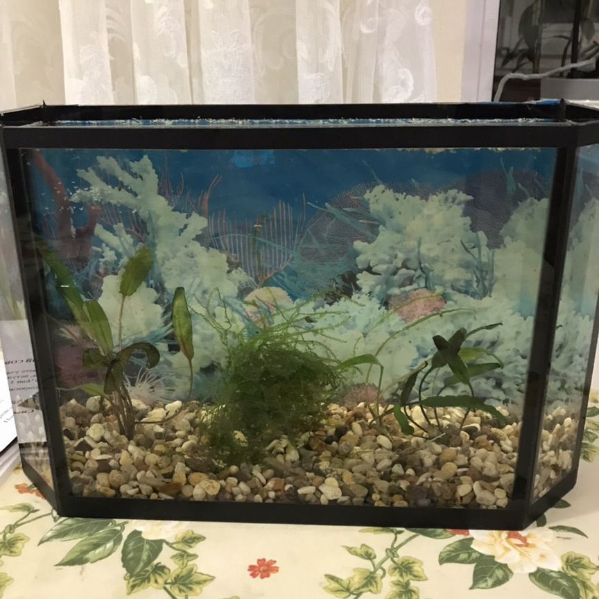 Аквариум для рыбок 10л