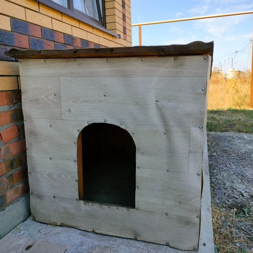 Собачья будка