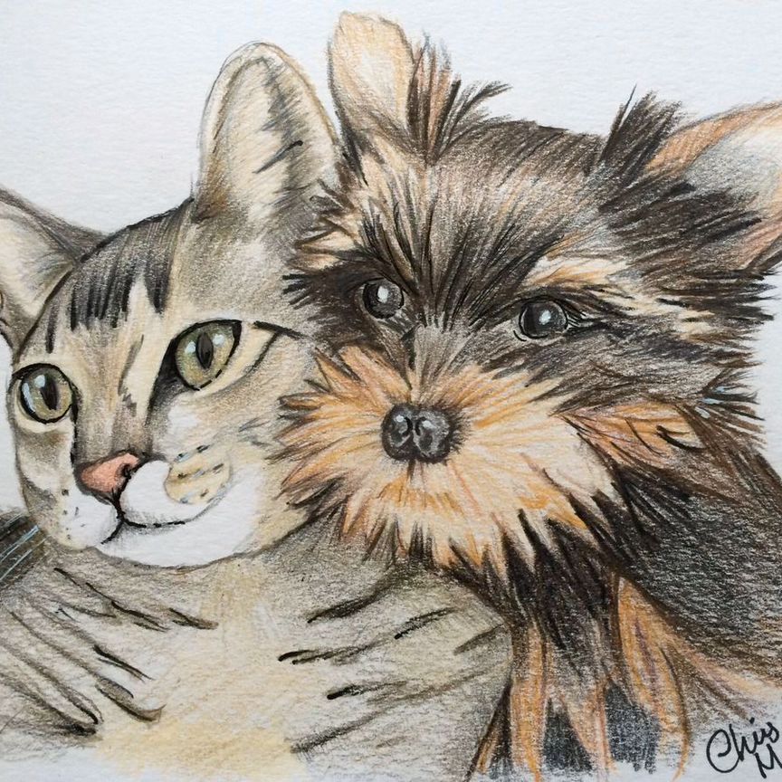 Рисую ваших питомцев