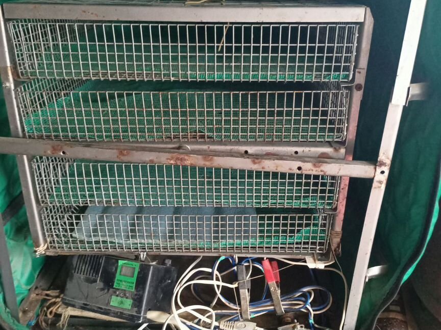 Инкубатор для яиц автоматический тгб-280