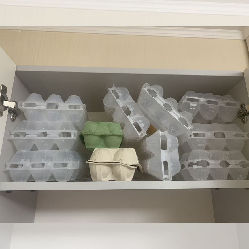 Контейнера для яиц