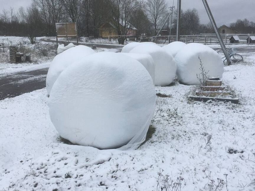 Сенаж корм для животных