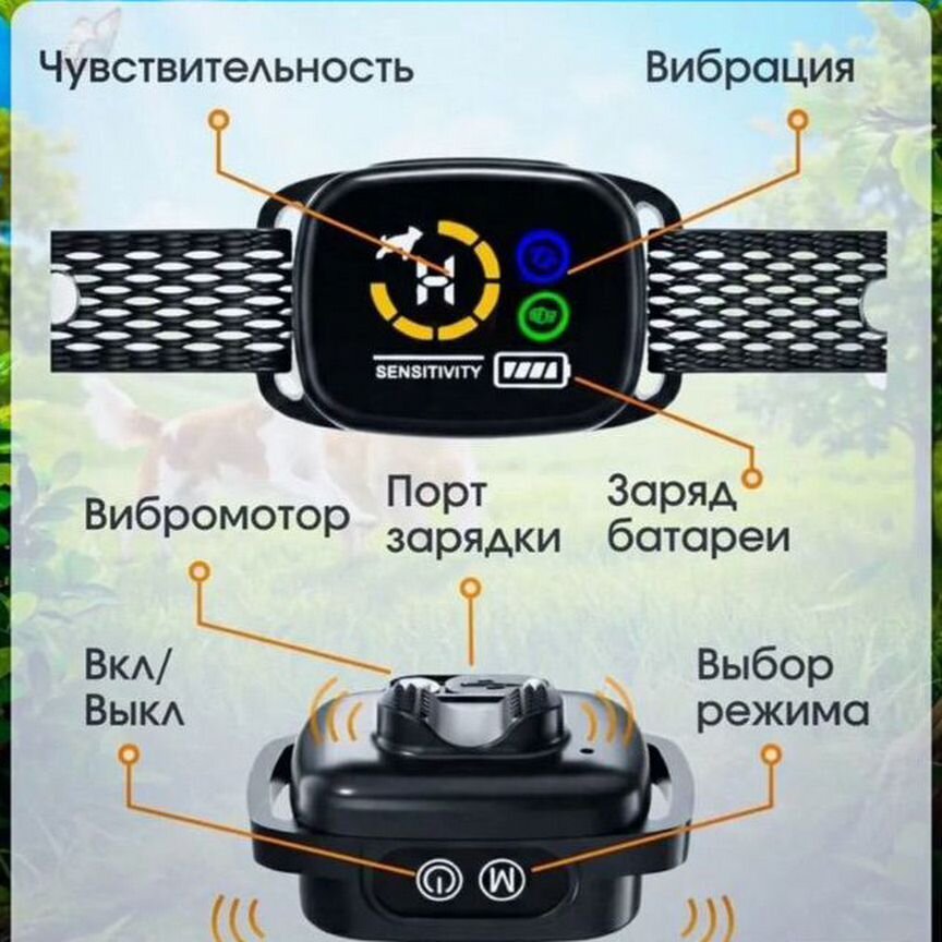 Ошейник