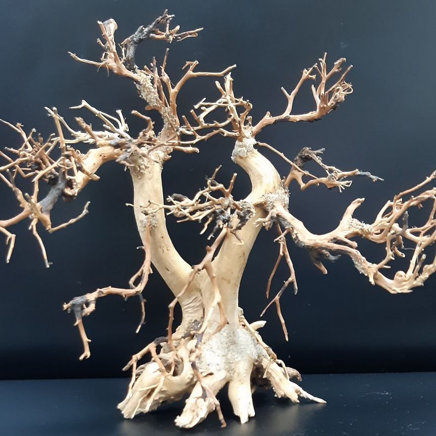 Коряга "Бонсай" 19х10х18см