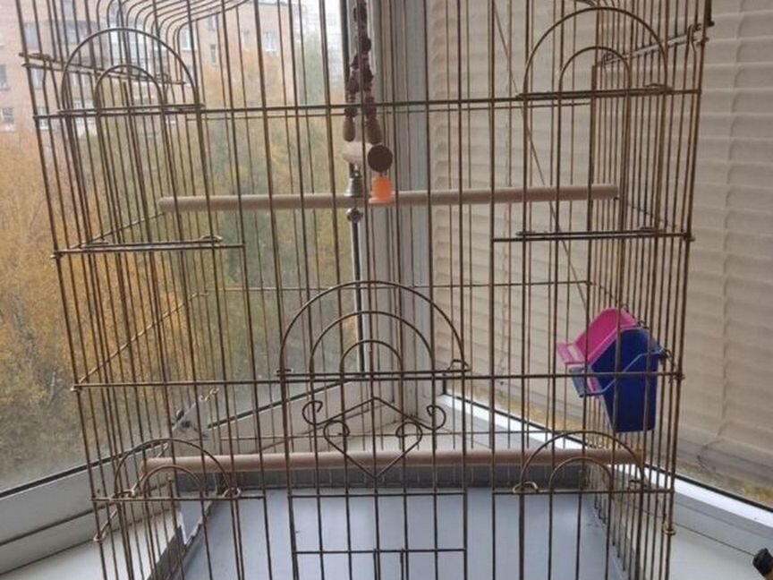 Клетка для среднего попугая