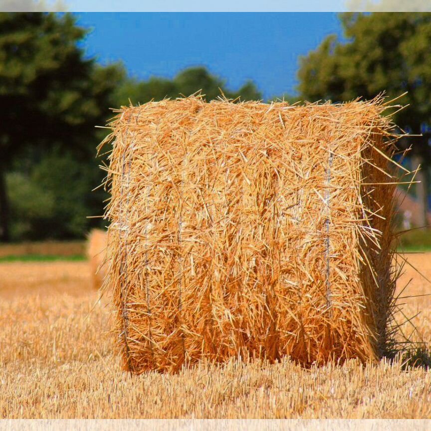 Солома в рулонах