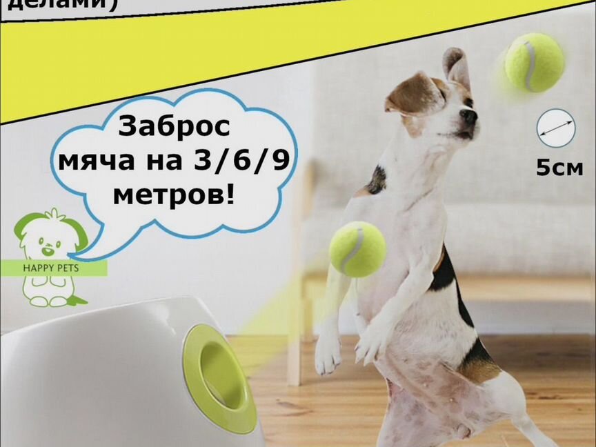 Катапульта для собак