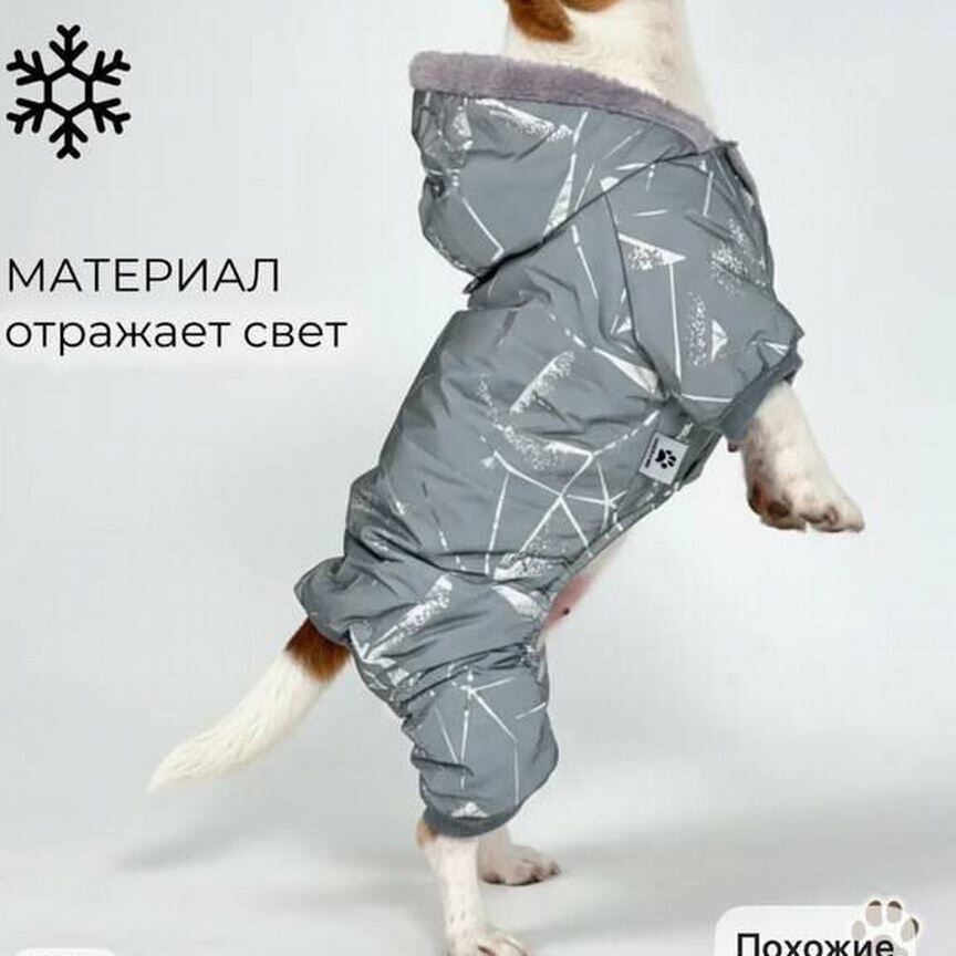Одежда для собак средних пород