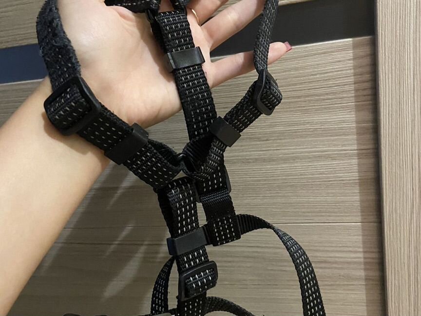 Шлейка Pro comfort