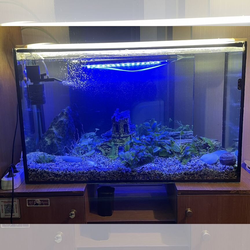 Аквариум 100 литров