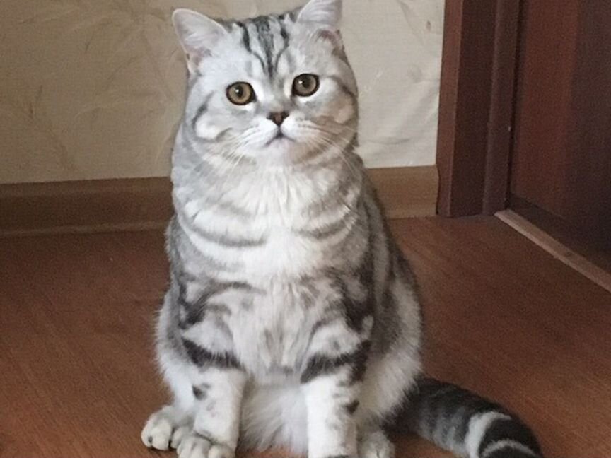 Вязка