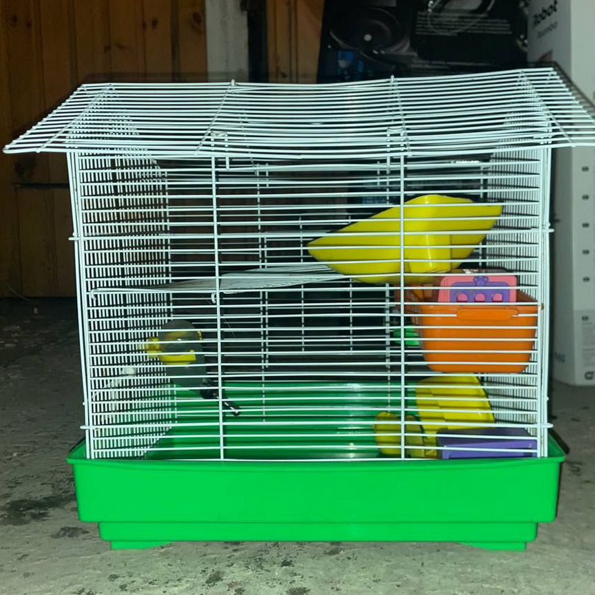 Клетка для грызунов большая