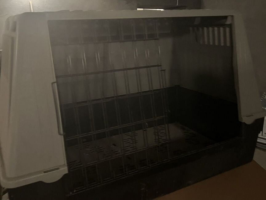 Перевозка для собак