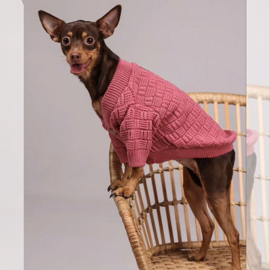 Свитер для собаки вязанный