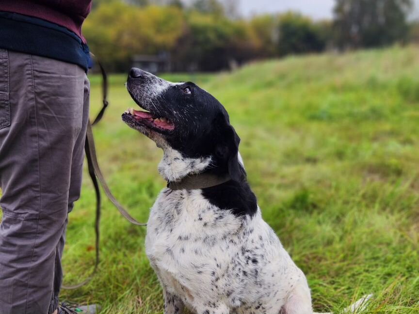 Прекрасная Нэнси ищет дом