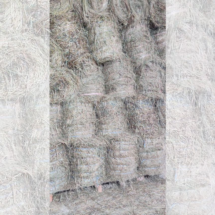 Сено в мини рулонах