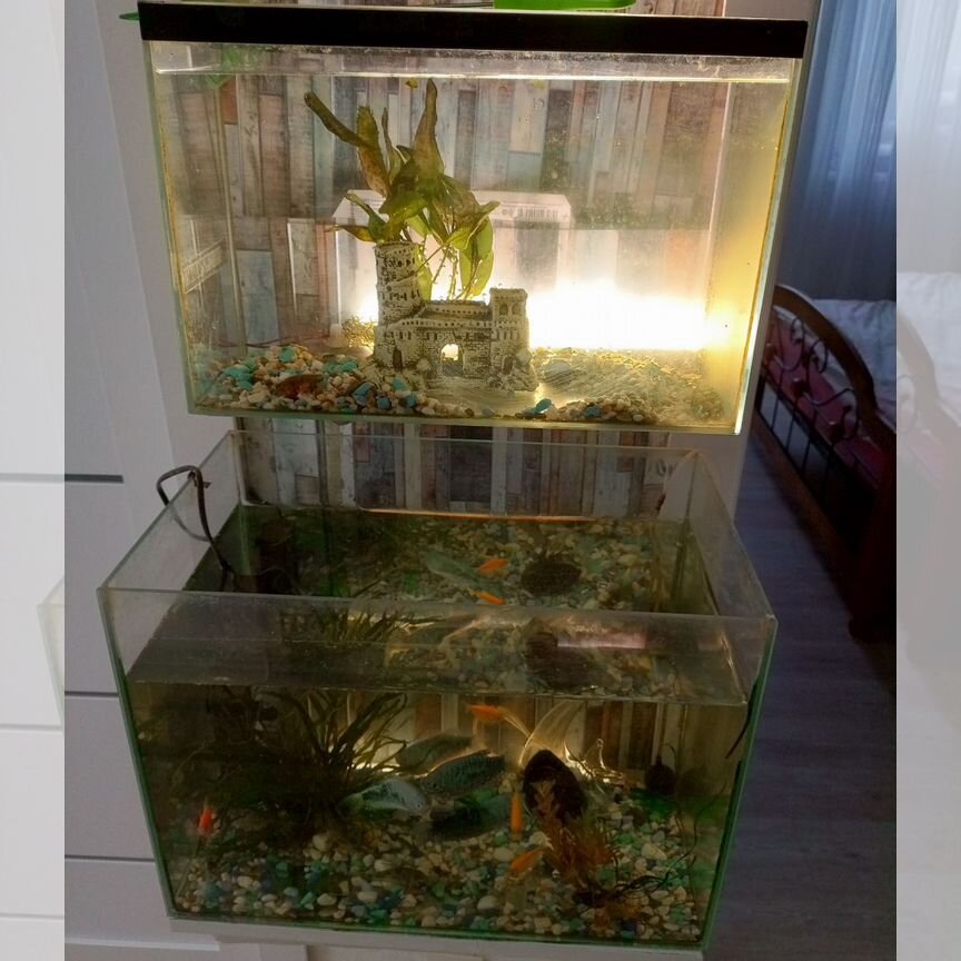 Аквариум с рыбками