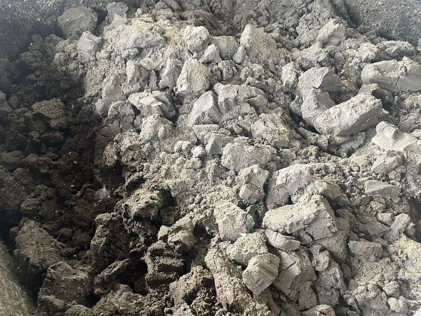 Фуза подсолнечная