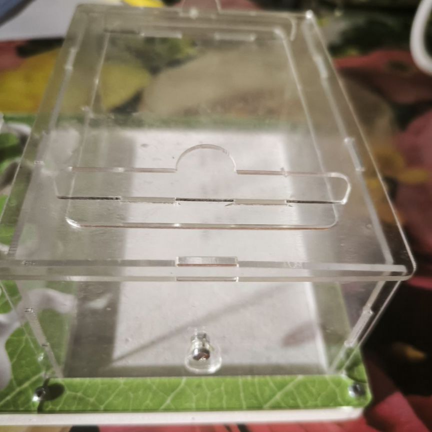 Муравьиная ферма без муравьев