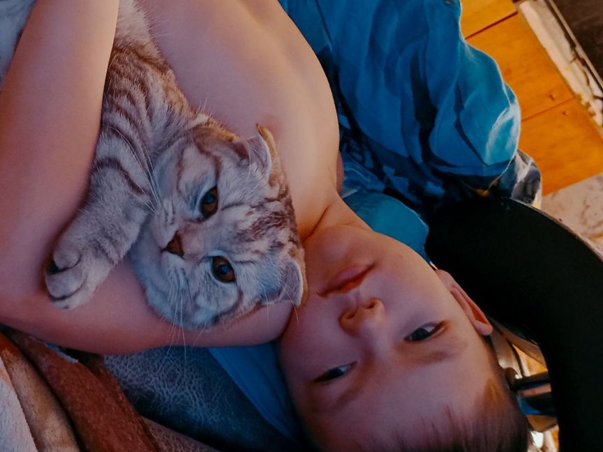 Кошка на вязку