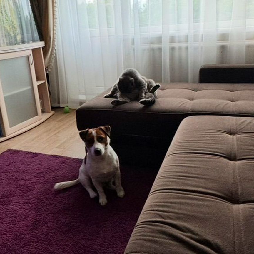 Аквариум с тумбой