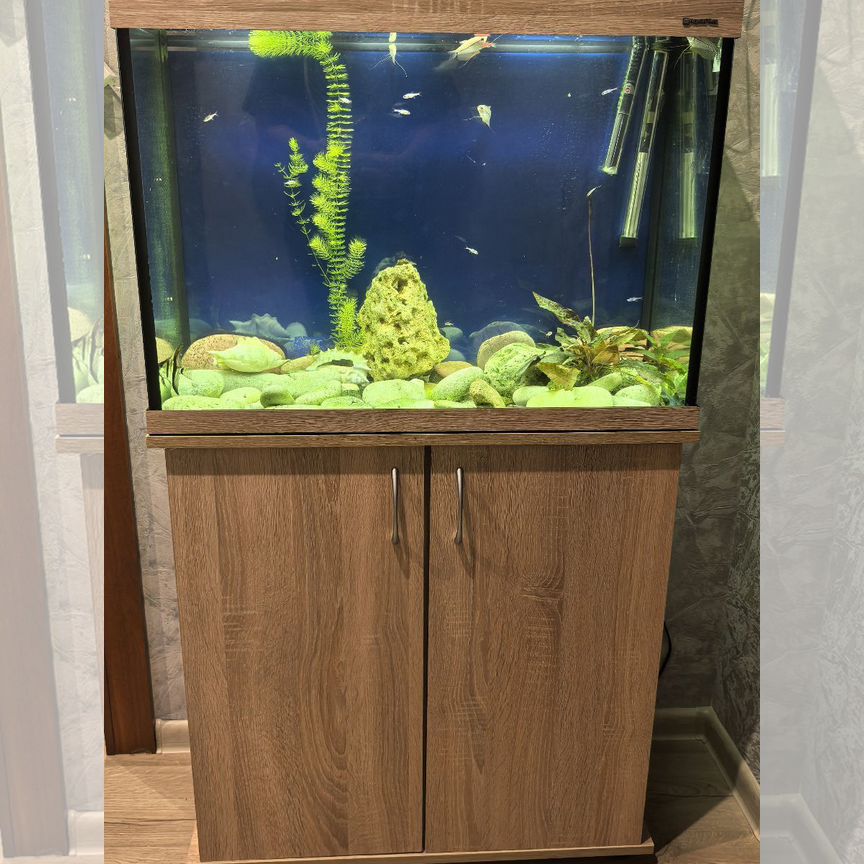 Аквариум с тумбой 100л