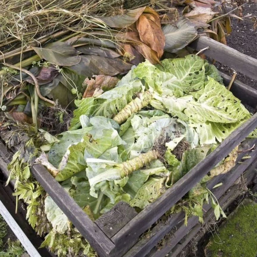 Продам капустные листия